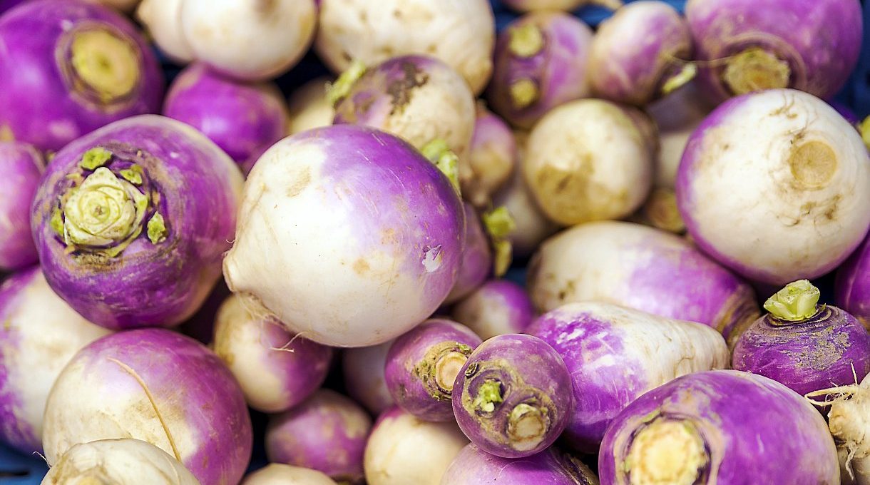 Le navet, un légume à part entière | Recette Cuisine