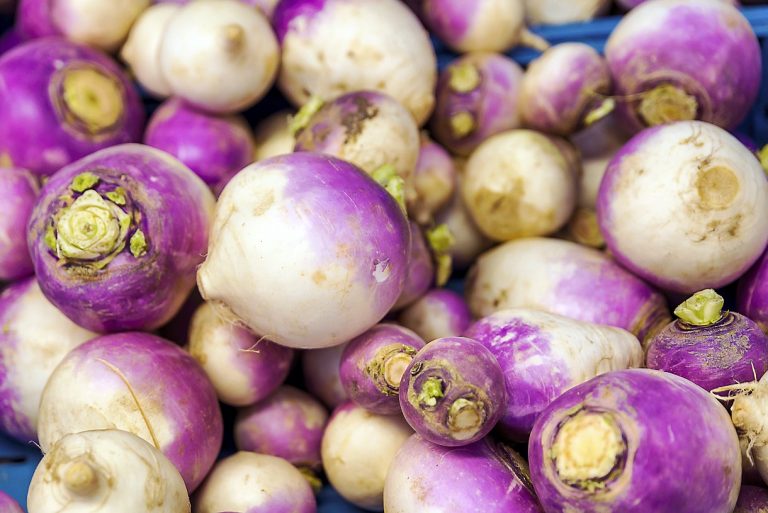 Le navet, un légume à part entière | Recette Cuisine