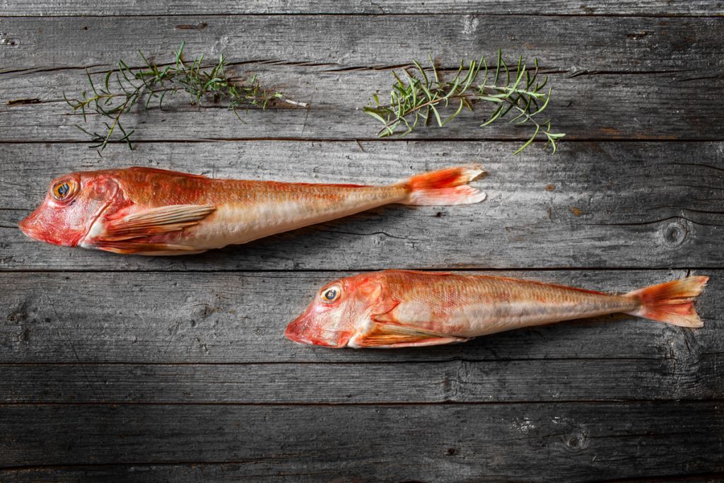 Le rouget grondin | Recette Cuisine